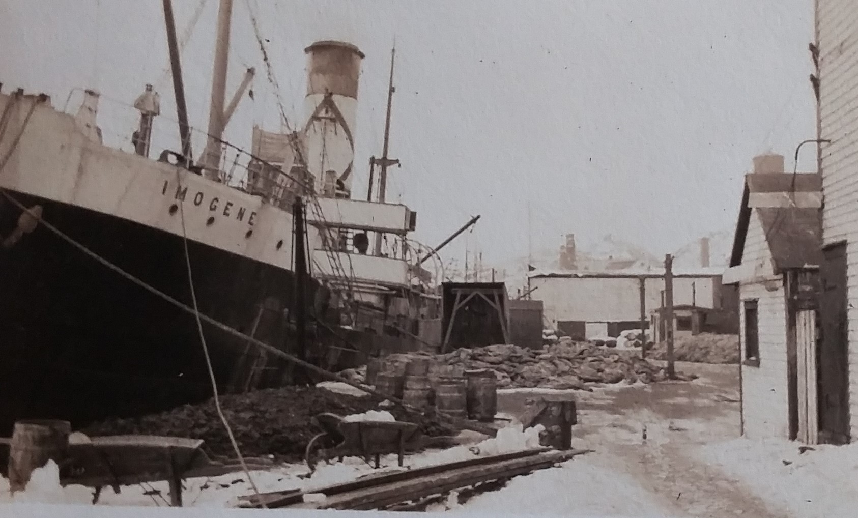 S.S. Imogene unloading seal pelts - Downhome Magazine