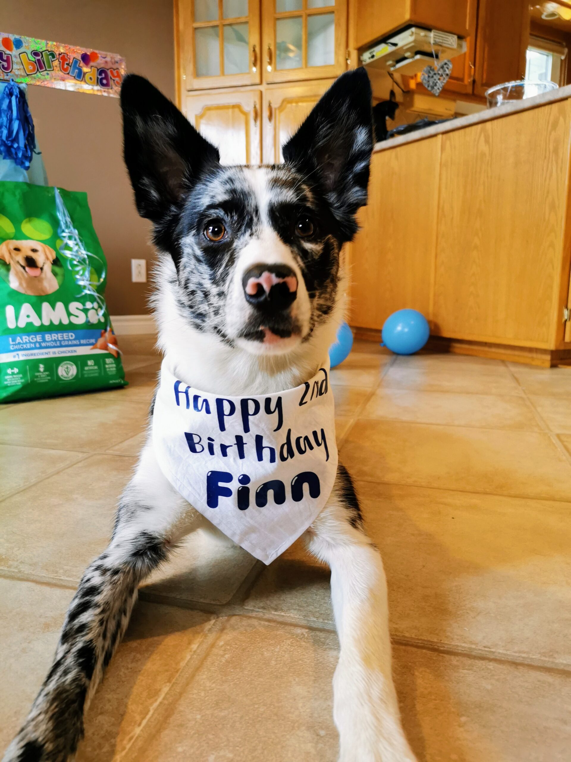 Happy Birthday Finn - Downhome Magazine