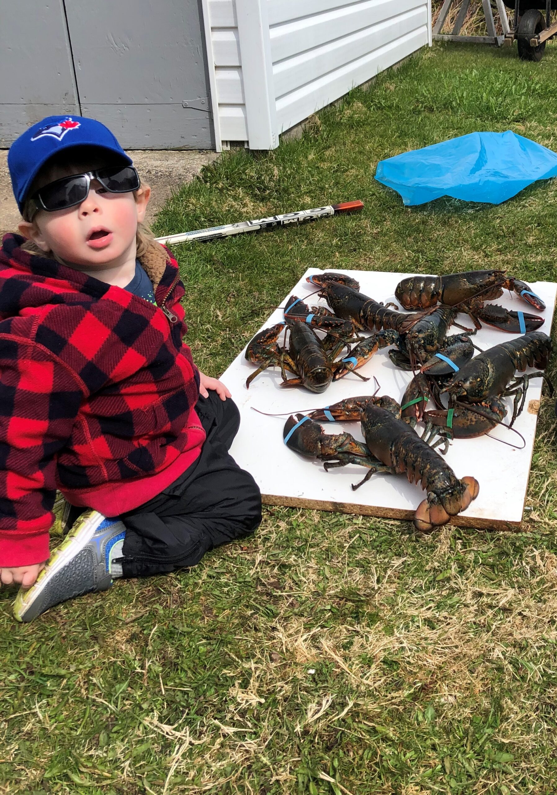 Riley's new friends! - Downhome Magazine