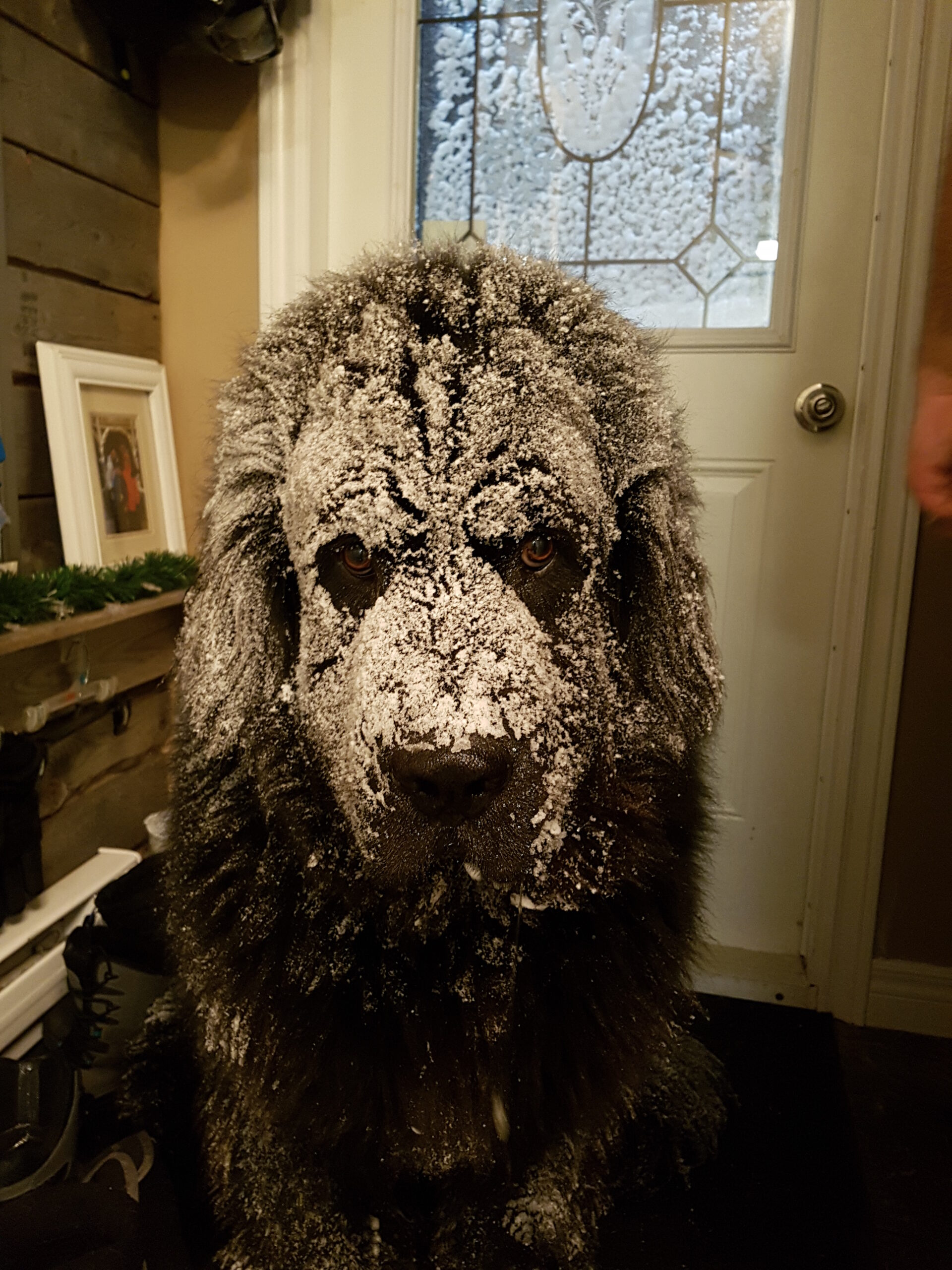 Lukey Loves Snow ! - Downhome Magazine