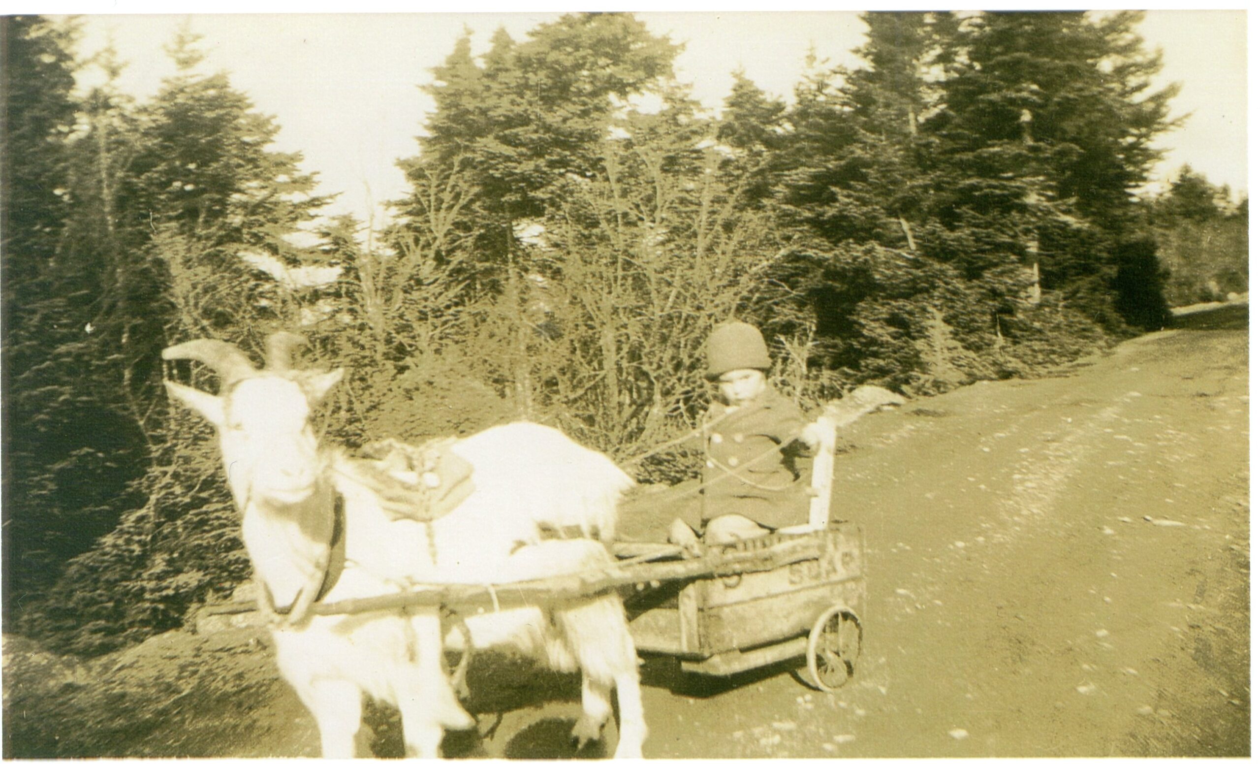 Good Sport - Downhome Magazine