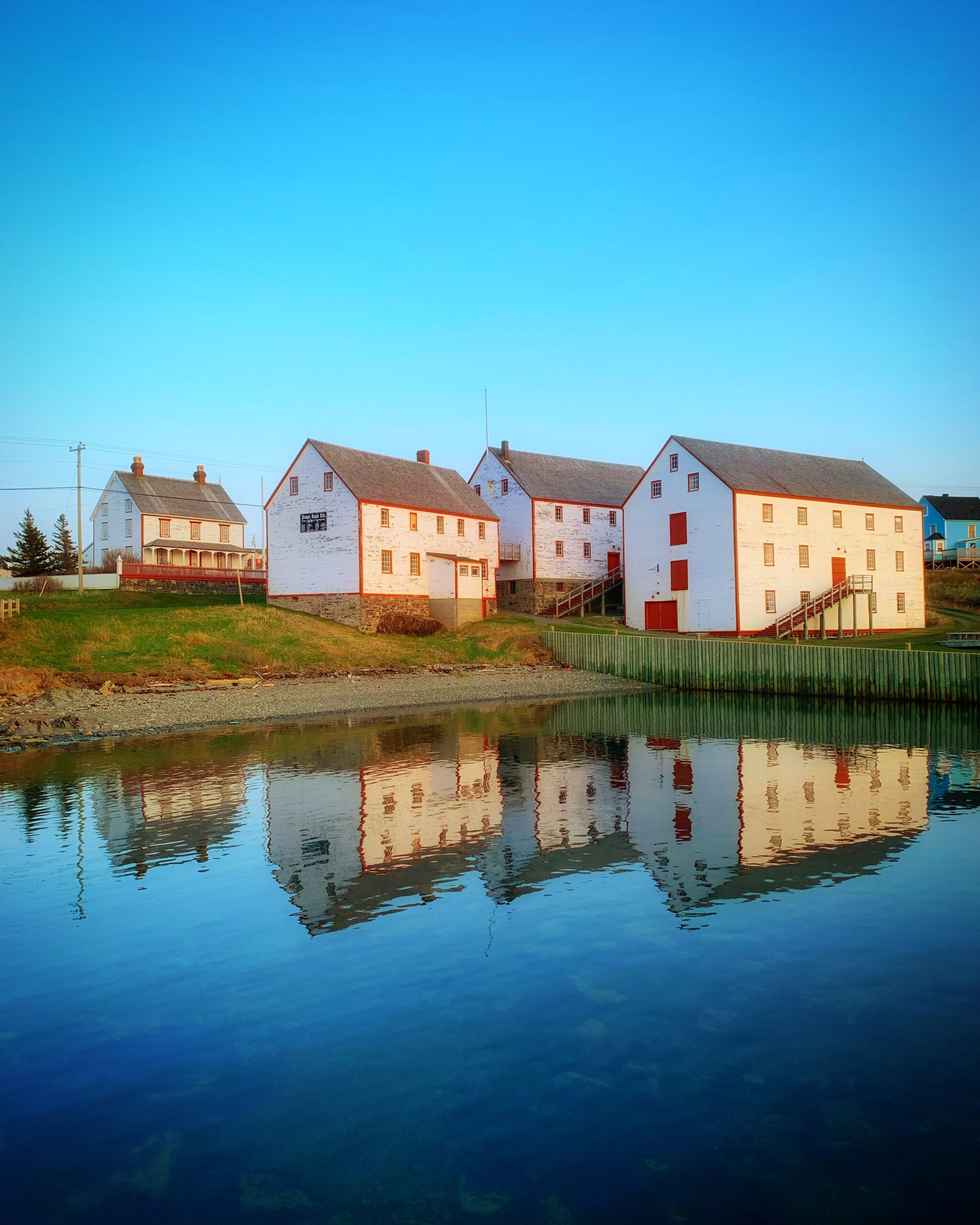 Ryan Premises Reflections - Downhome Magazine