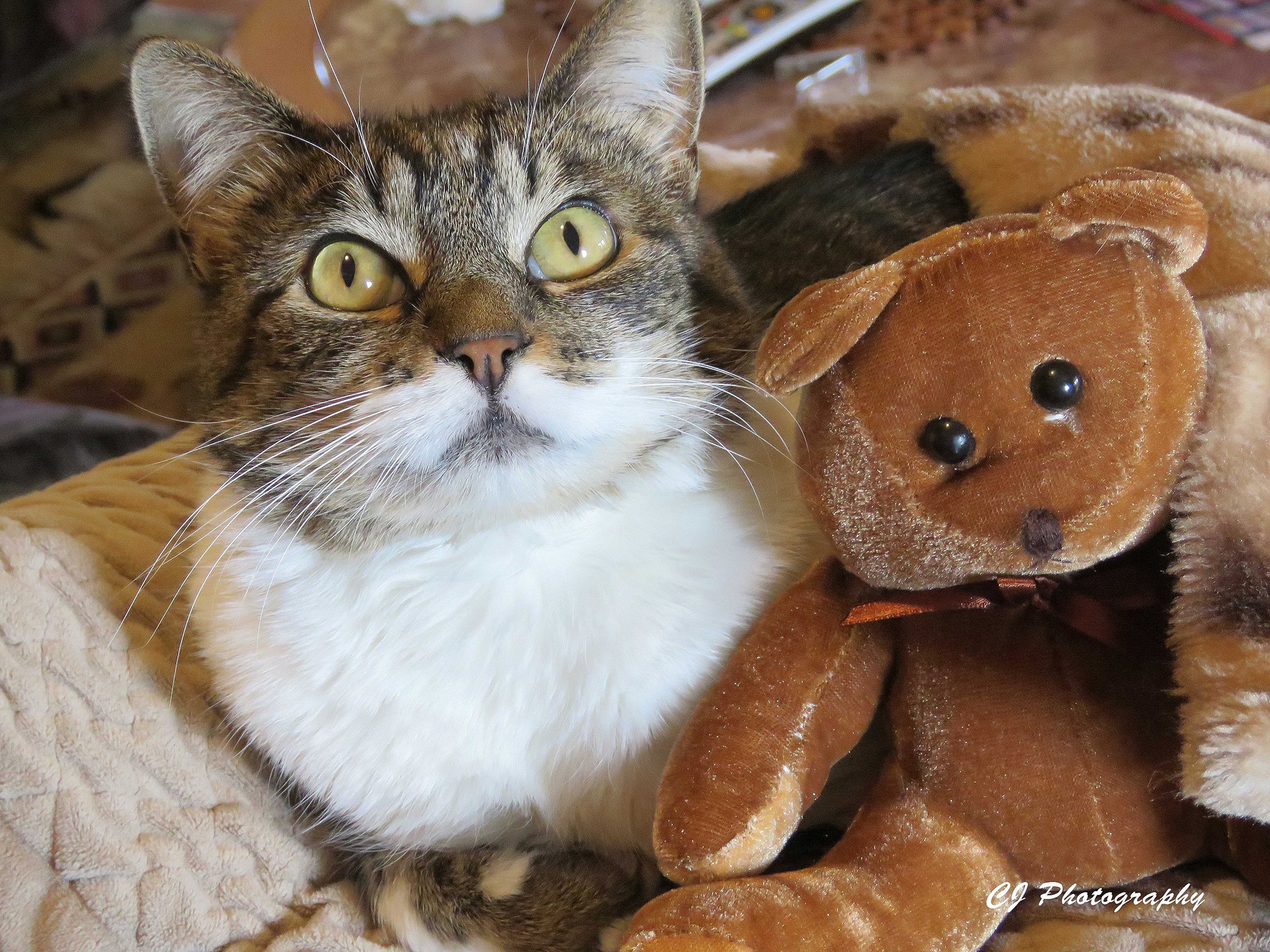 HAROLD SPENCER - Downhome Magazine