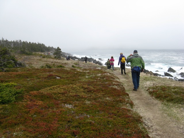 Father Troy's Path - Downhome Magazine