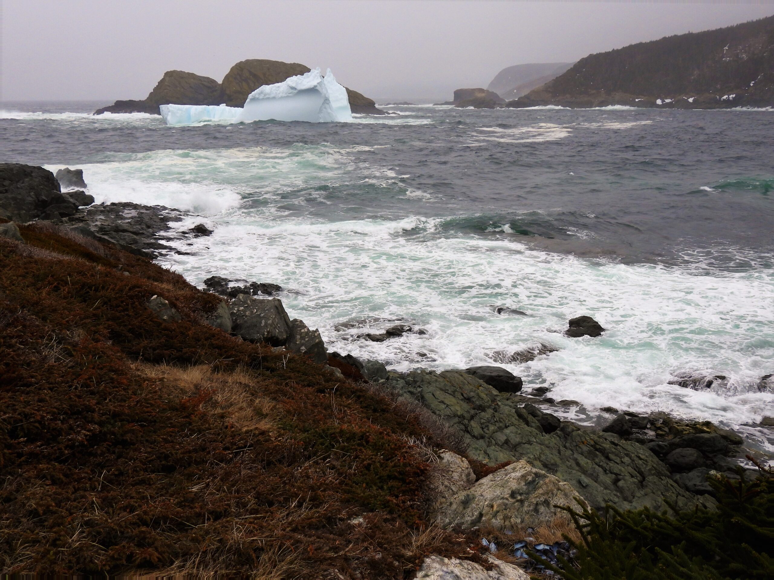 Cape St. Francis - Downhome Magazine