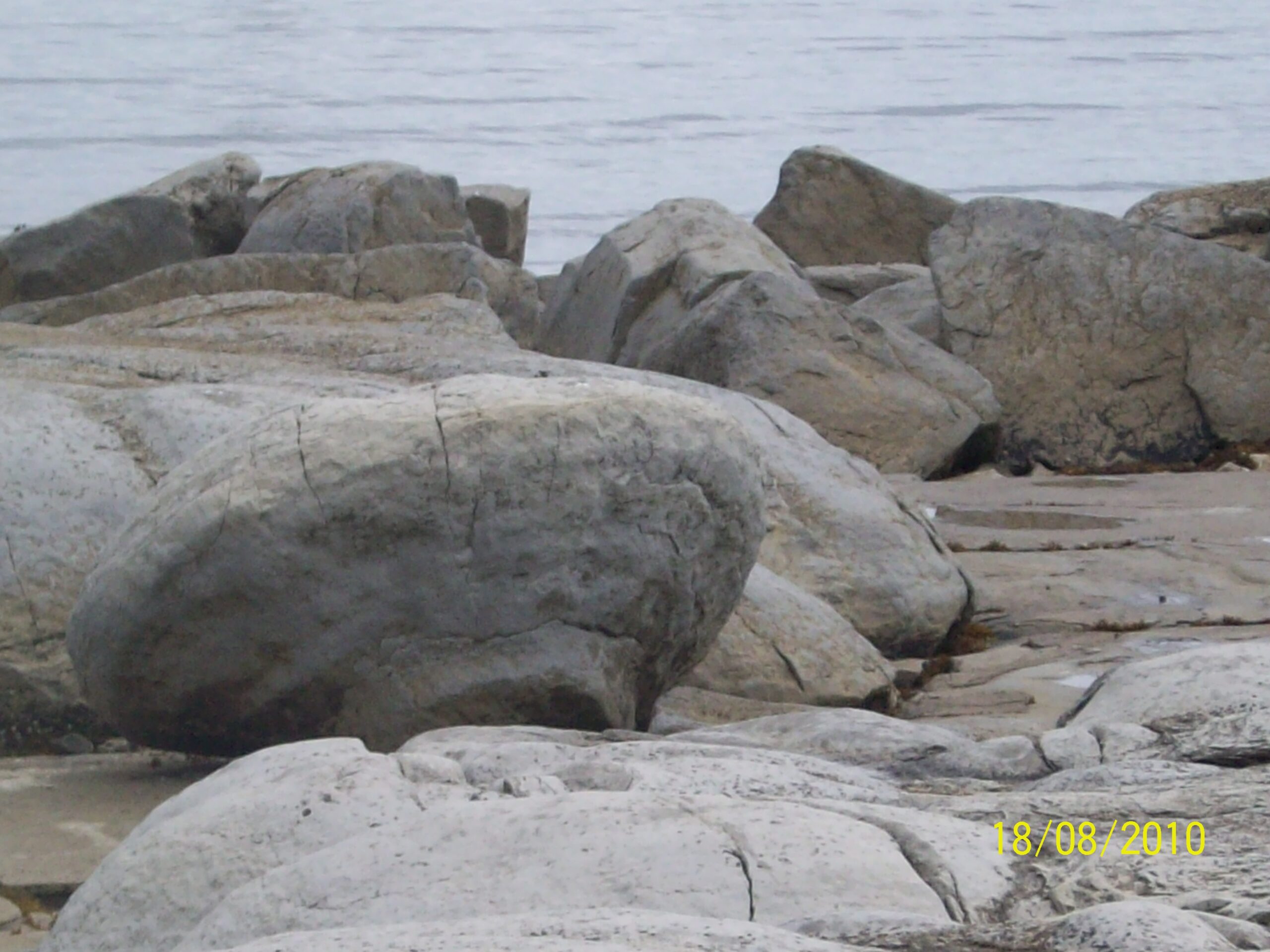 Thrombolites (Living Rocks) - Downhome Magazine