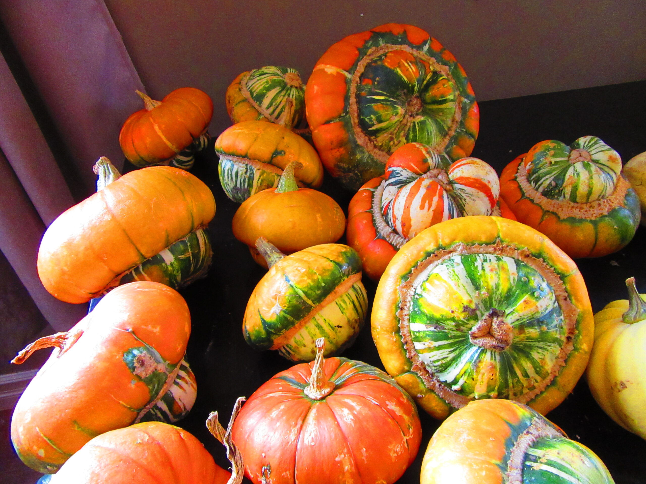 Crazy pumpkins galore - Downhome Magazine