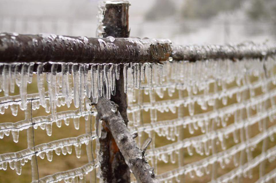 Frozen - Downhome Magazine