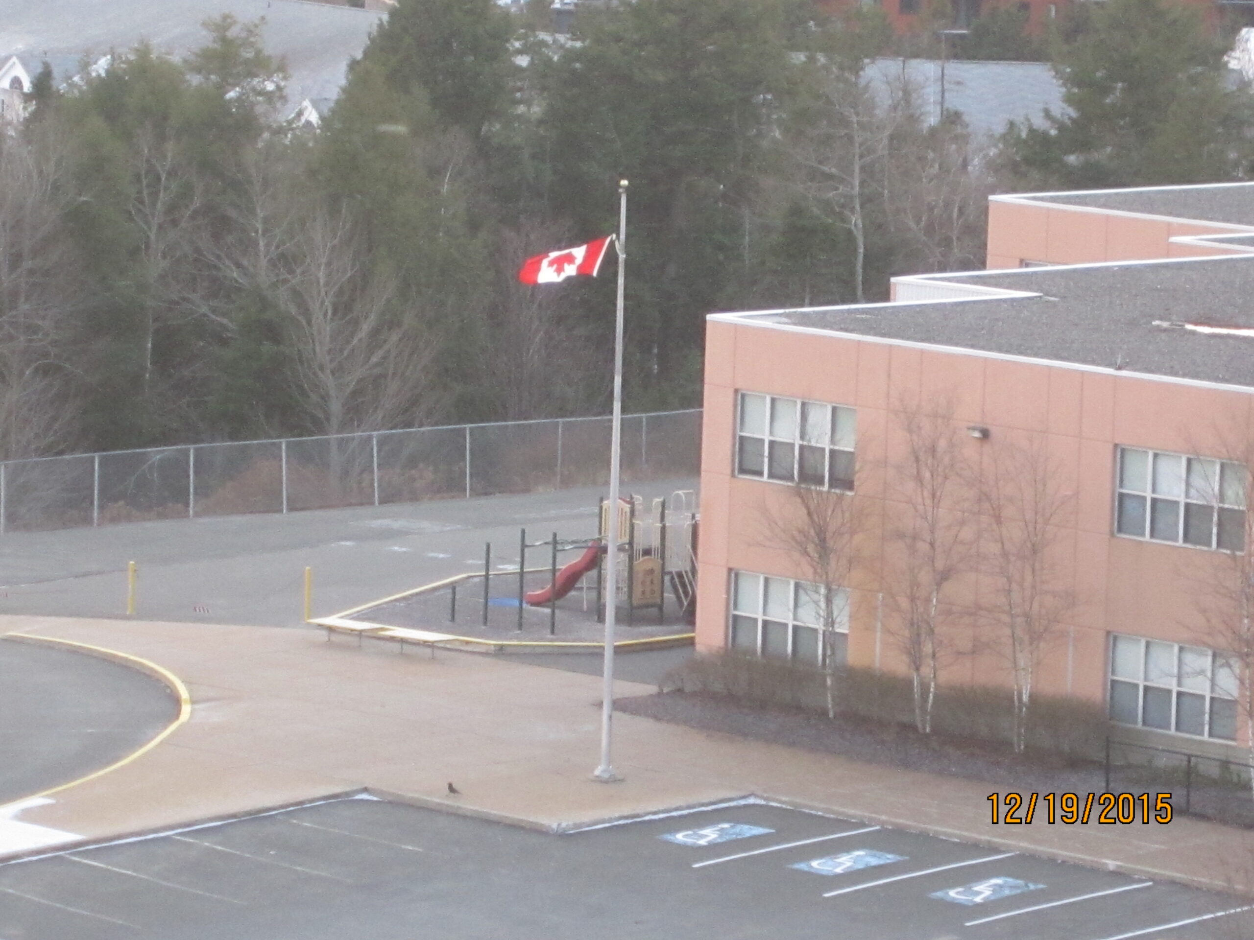 Flag Protocol - Downhome Magazine