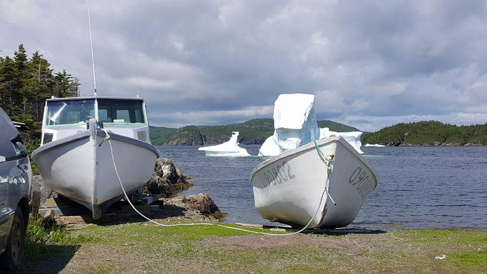 Iceberg season in Newfoundland - Downhome Magazine