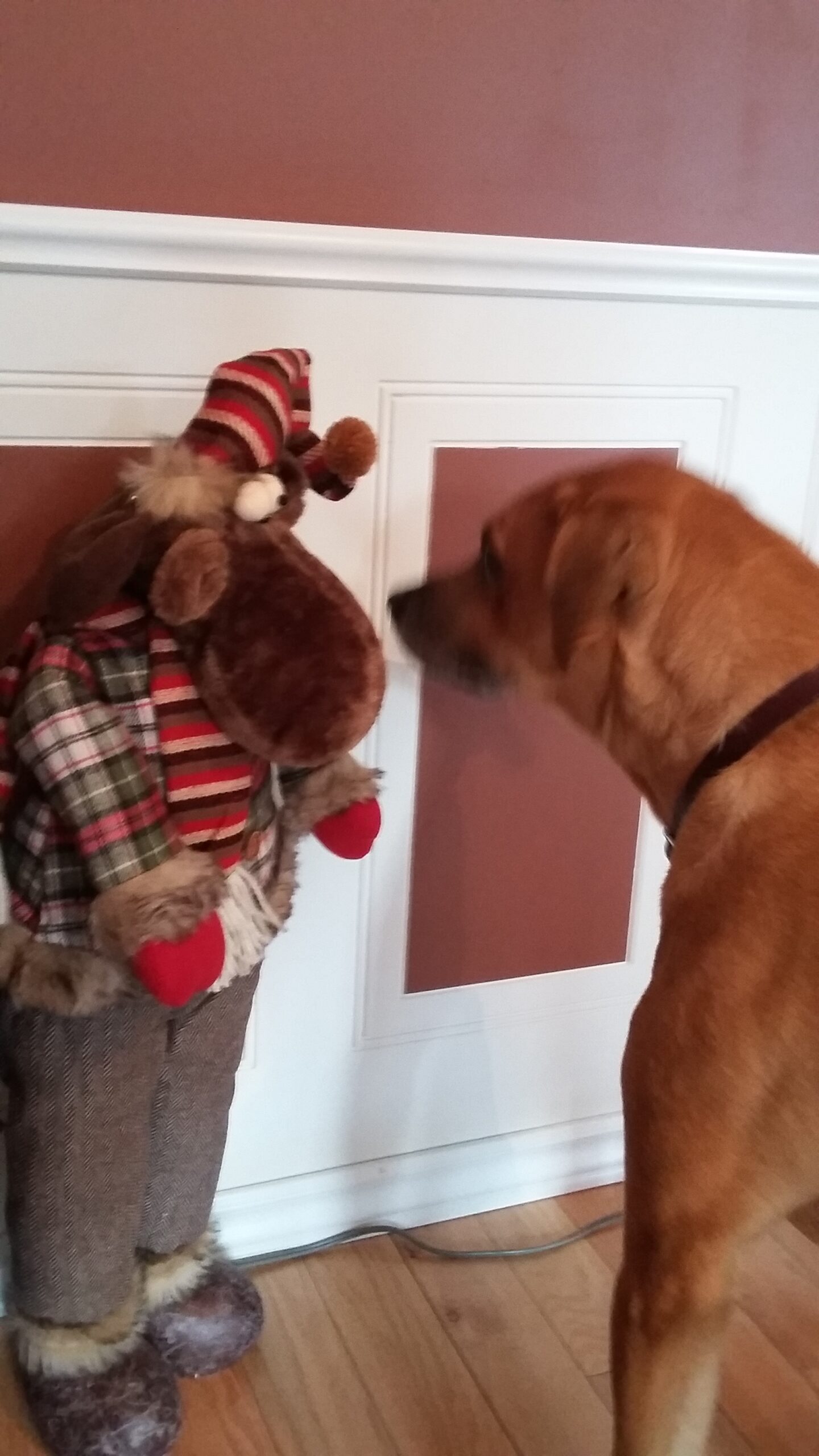 Jessica meets George - Downhome Magazine