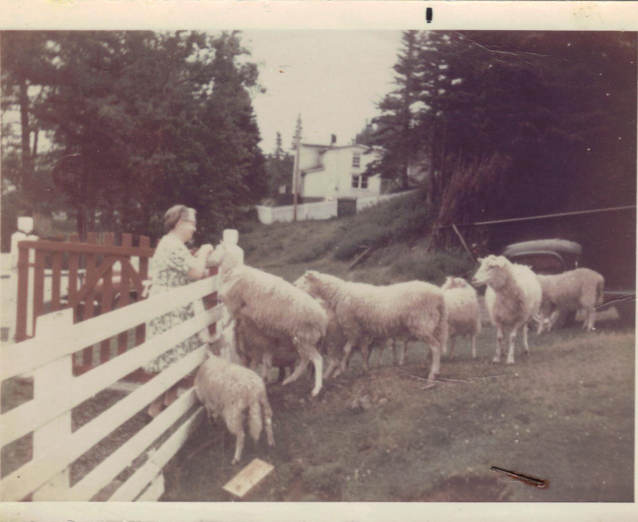 Delilah Jones - Downhome Magazine