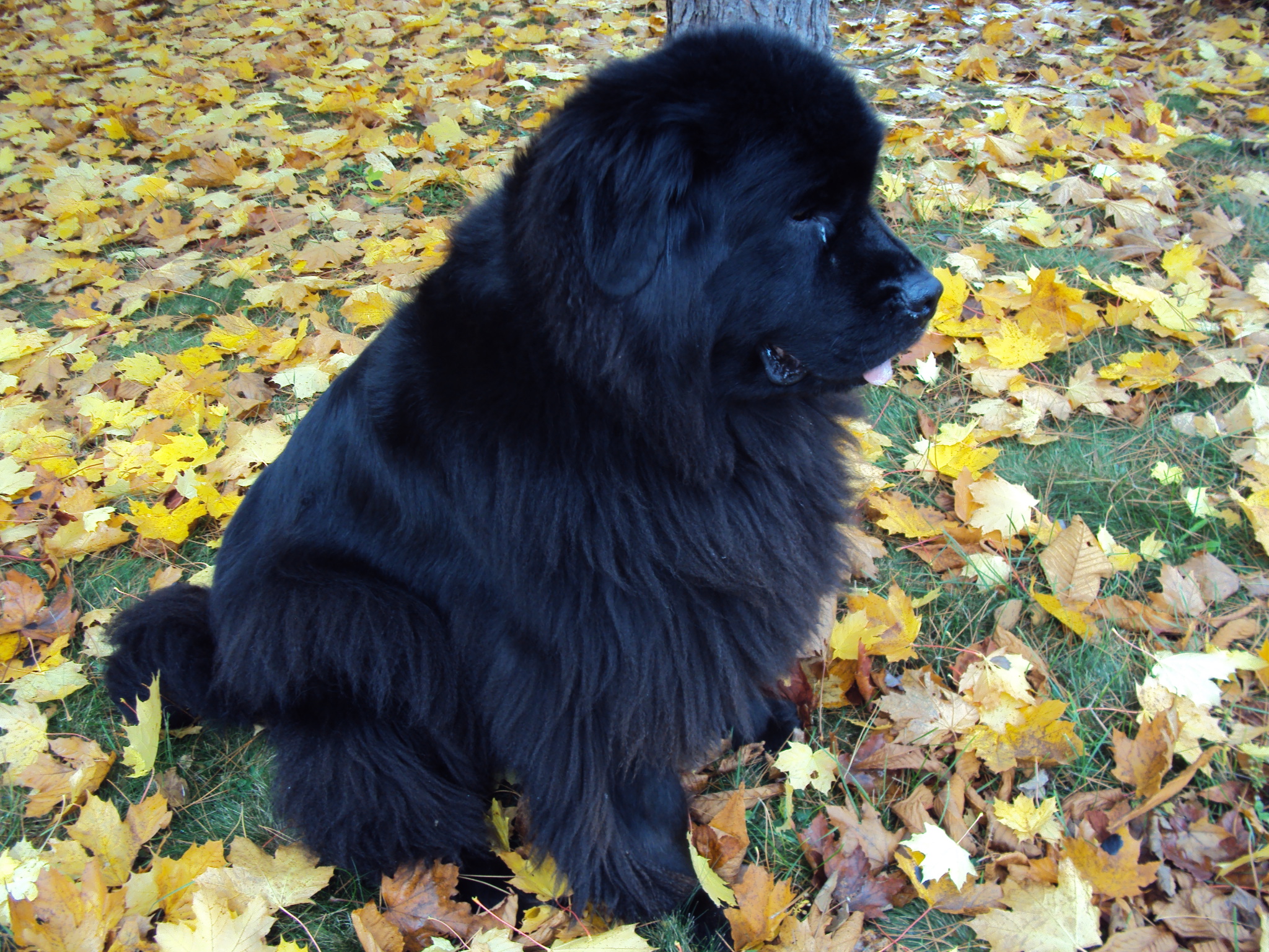 Falling Into Fall - Downhome Magazine