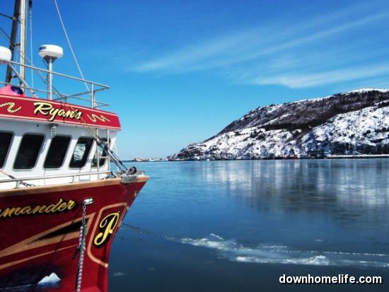 Ryan's Commander - Downhome Magazine