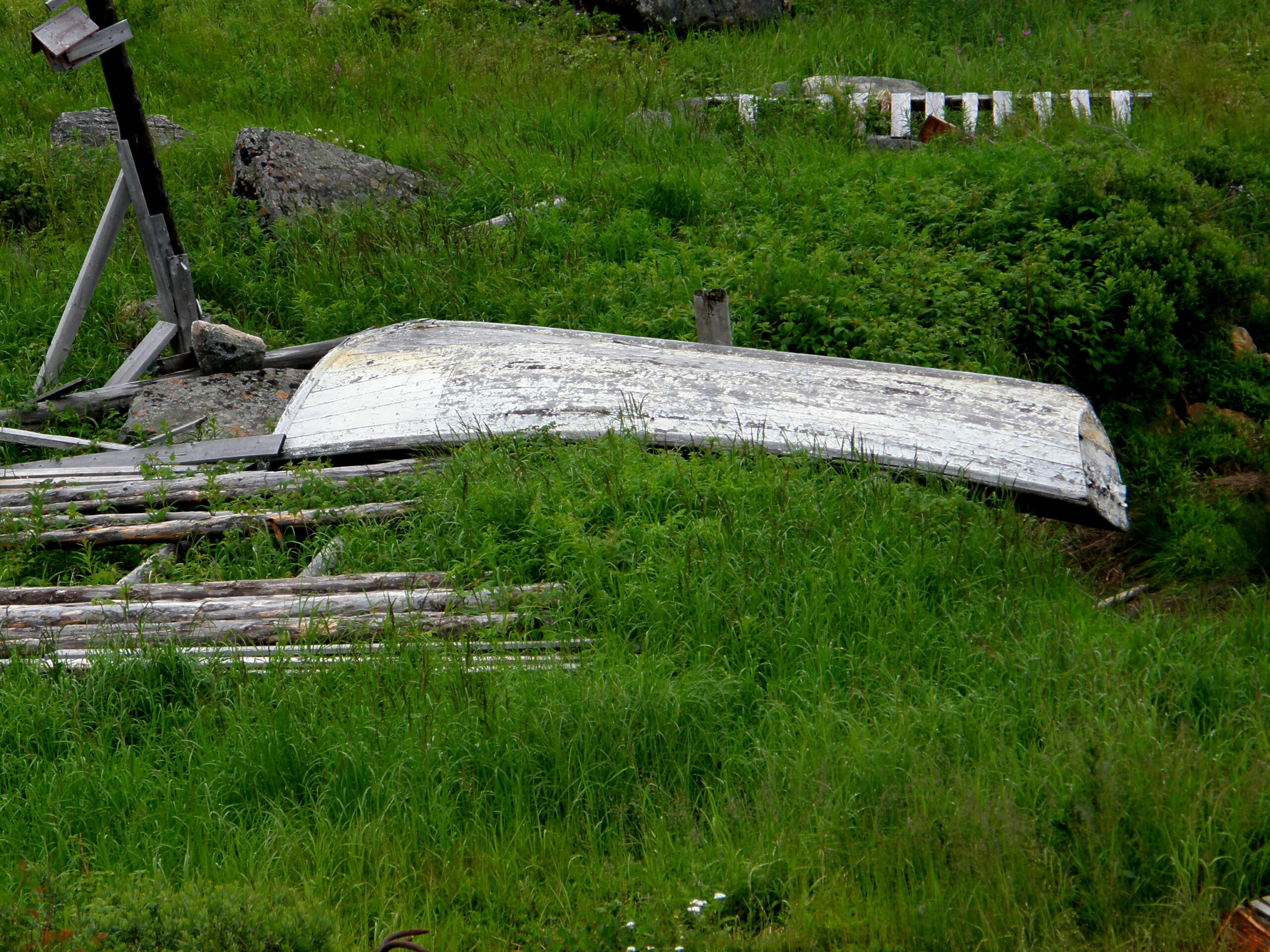 Little boats of Newfoundland - Downhome Magazine