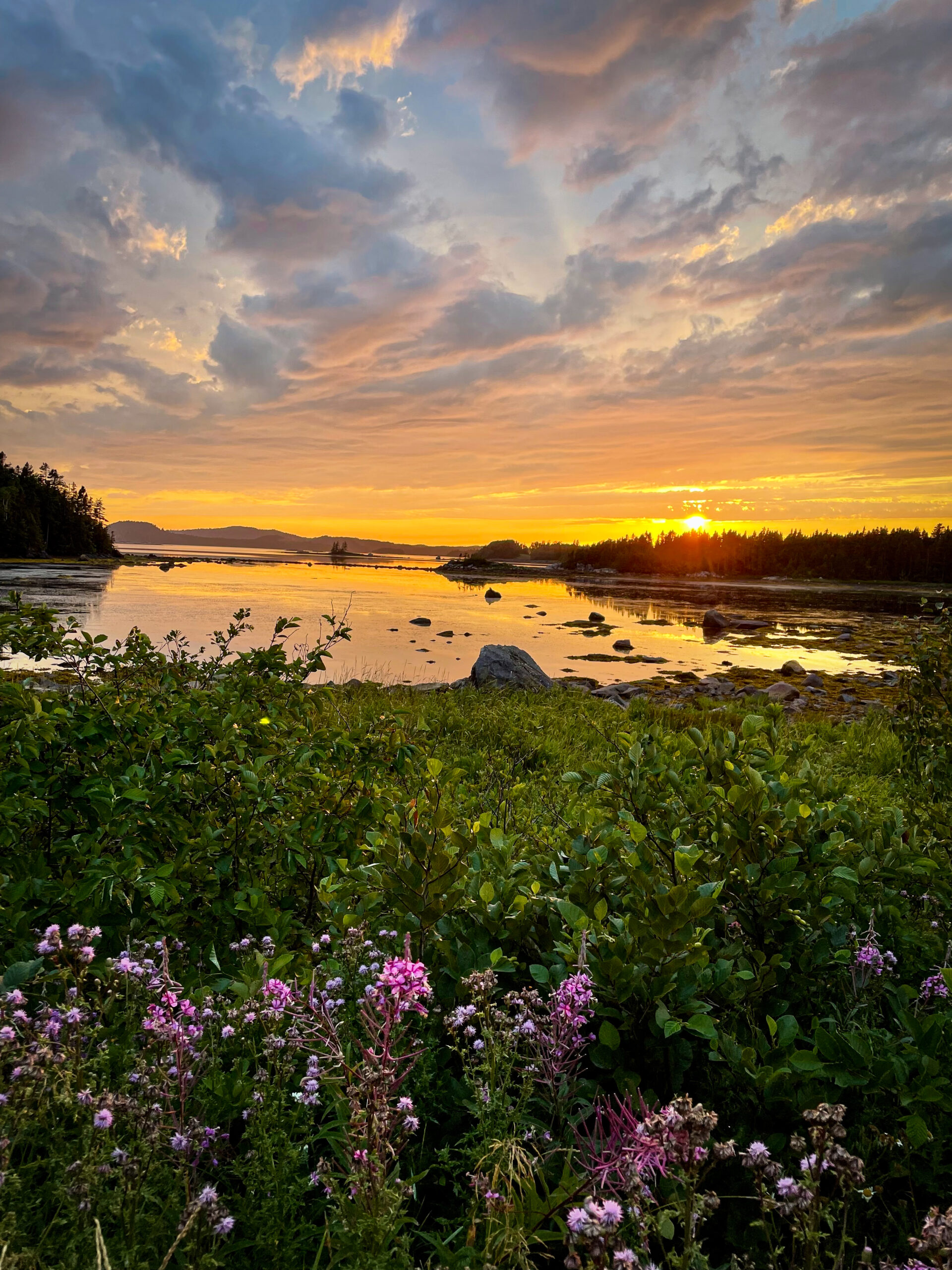 Sunset delight - Downhome Magazine