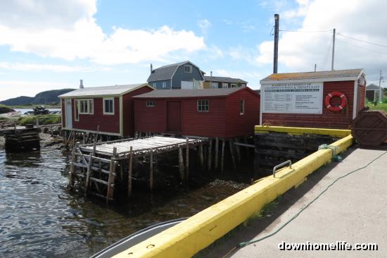 Harbour Master - Downhome Magazine