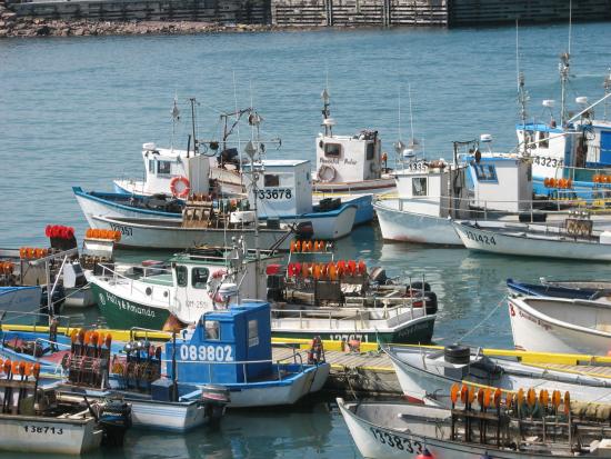 Overfalls Brook, Forteau - Downhome Magazine