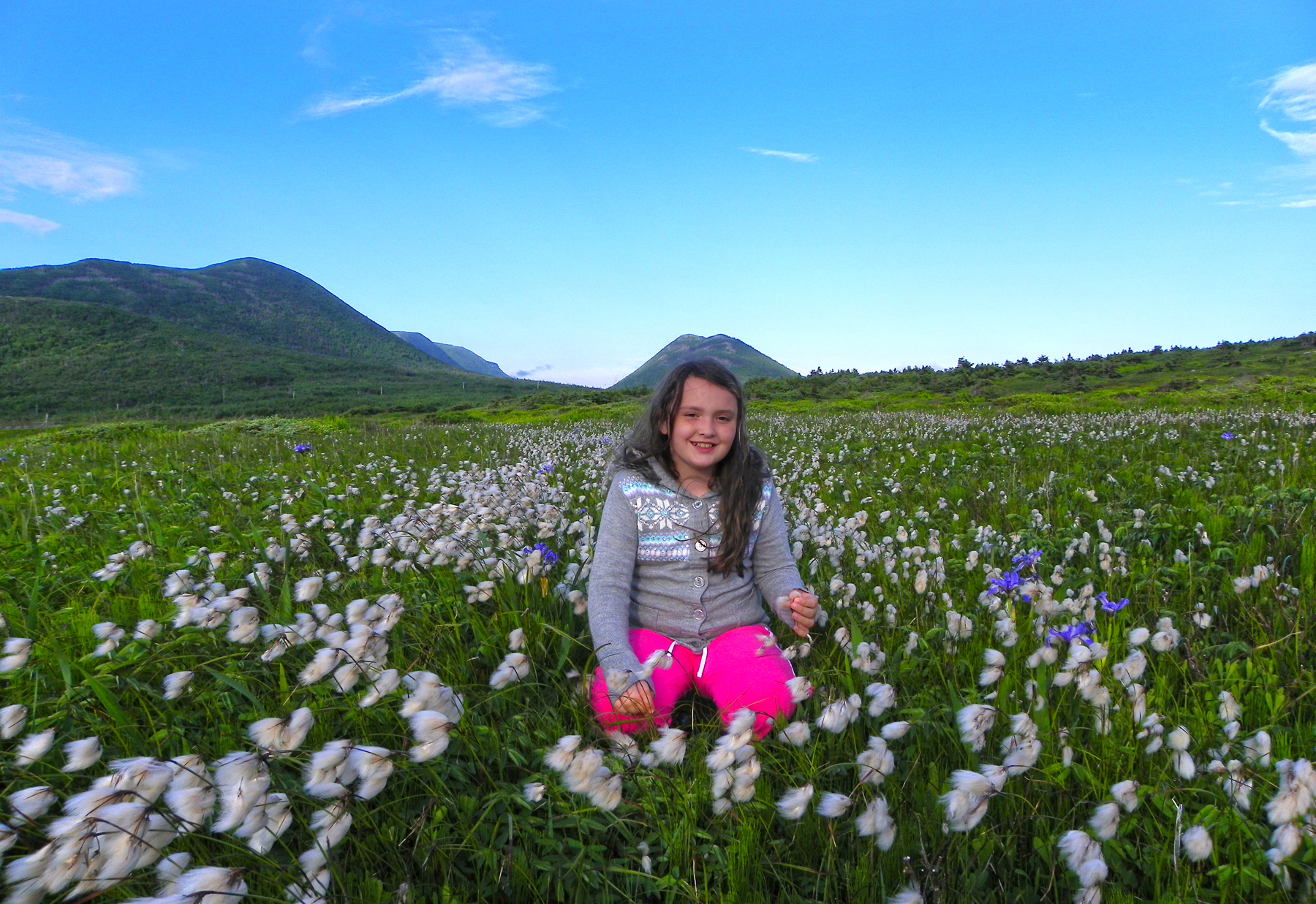 Field of Arctic Cotton - Downhome Magazine