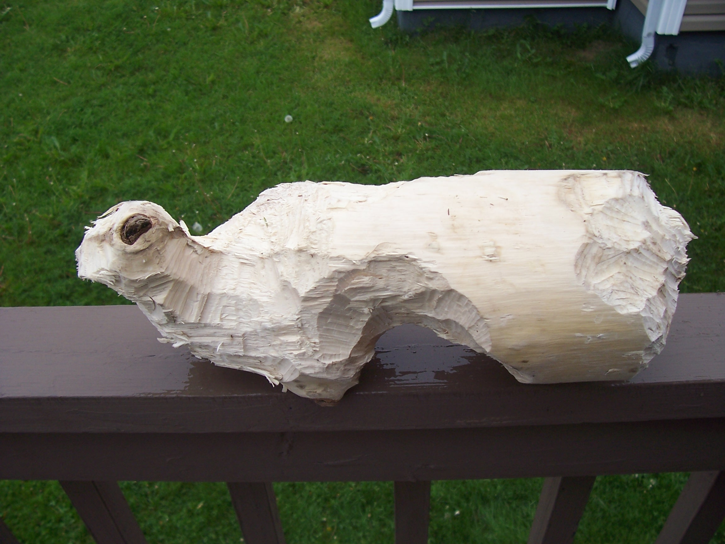 Beaver self carving - Downhome Magazine