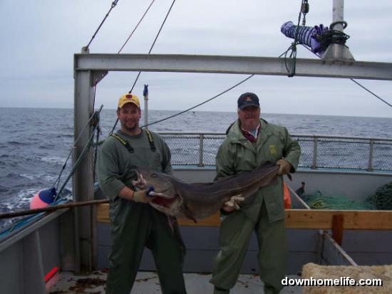 Giant Cod... - Downhome Magazine