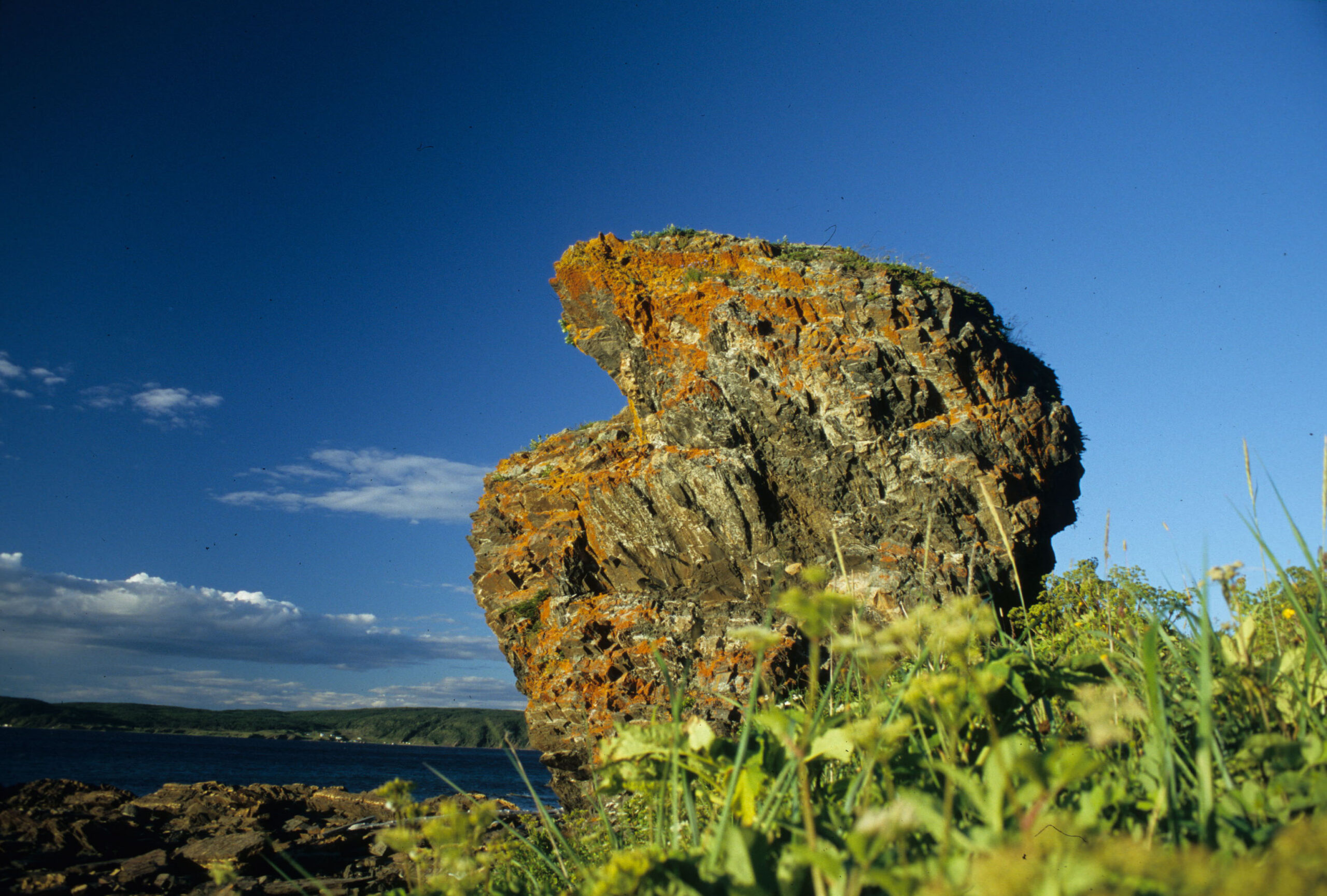 Lichen Rock - Downhome Magazine
