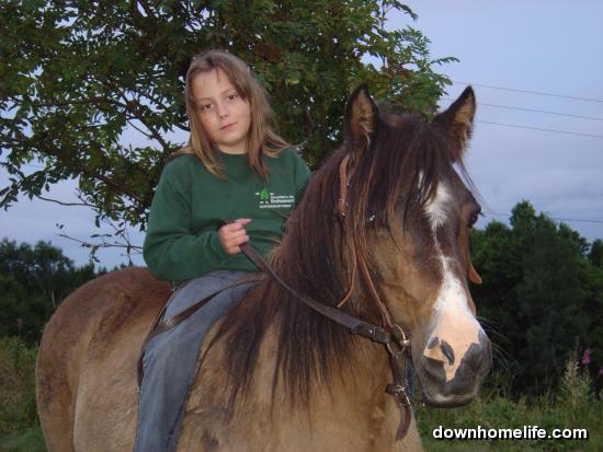 Project Pony - NL Pony Story and Photo - Downhome Magazine