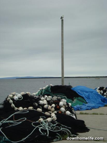 Minding The Nets - Downhome Magazine