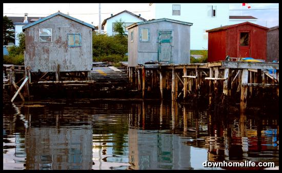 Sheds in a Row - Downhome Magazine
