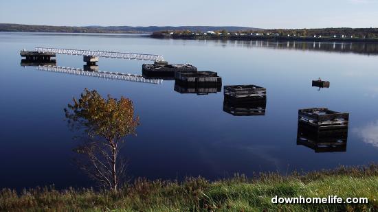 Reflections of Botwood Harbour - Downhome Magazine