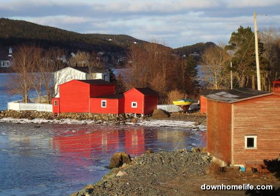 Conception Harbour Cove - Downhome Magazine