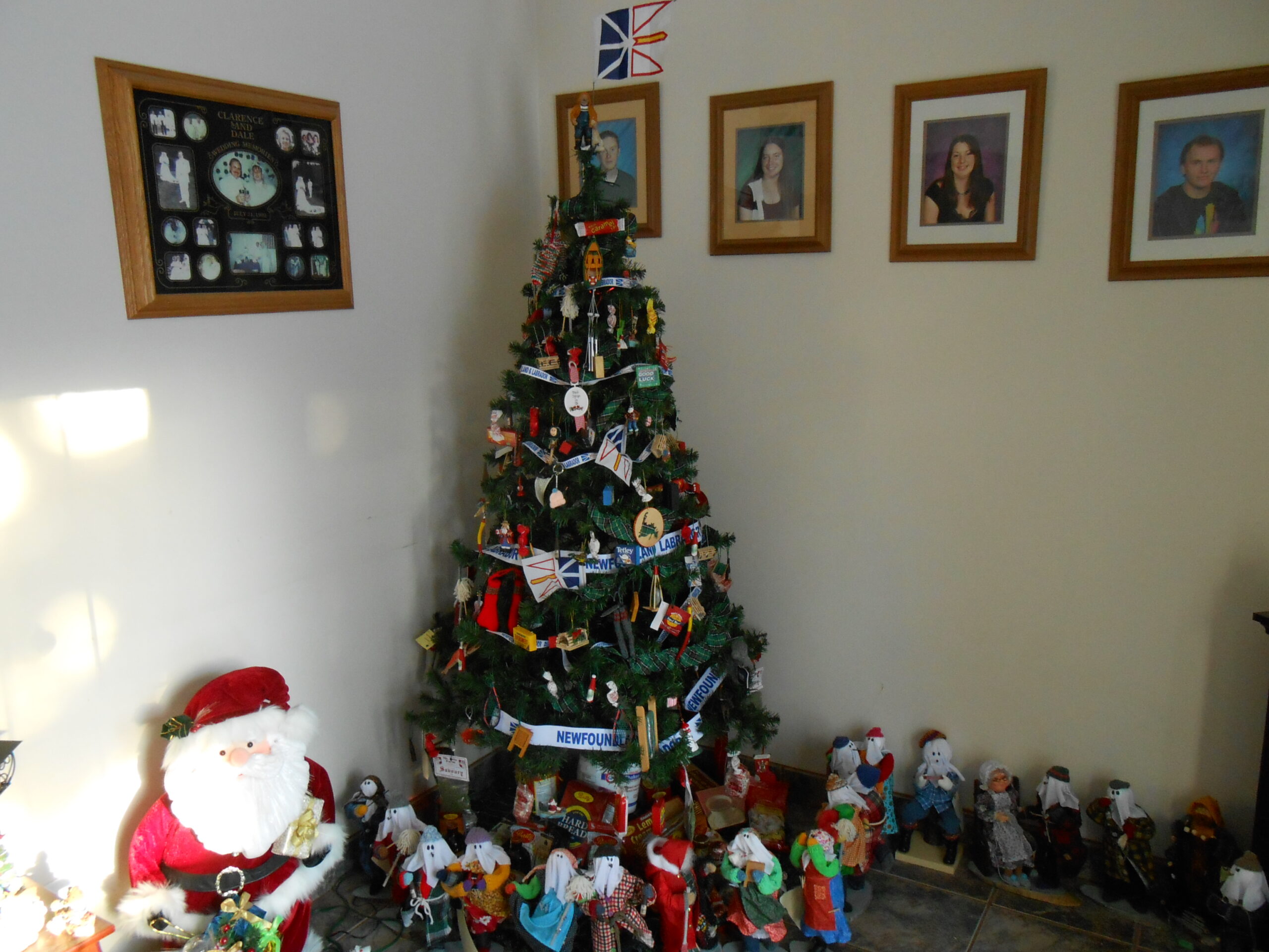 Dale's 2012 Newfoundland Christmas Tree - Downhome Magazine