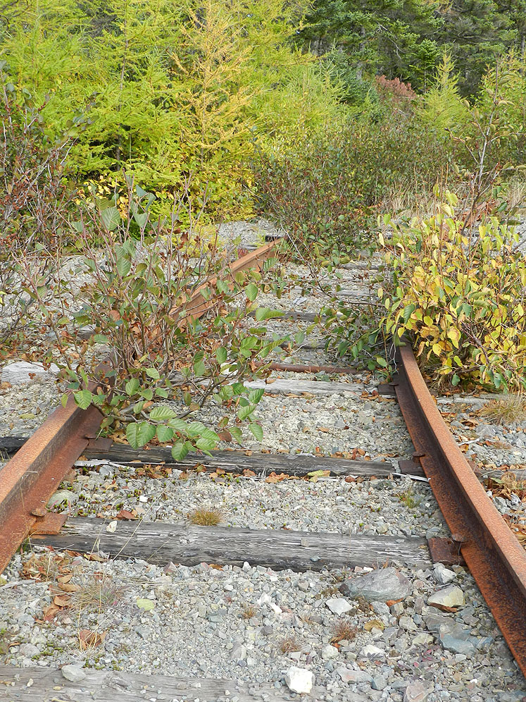 Trinity Loop railway - Downhome Magazine