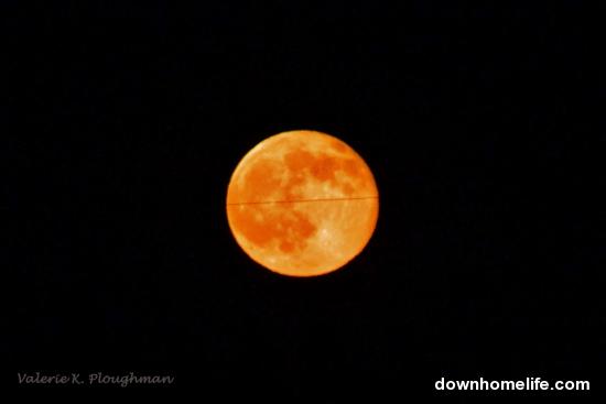 The Honey Moon - Downhome Magazine