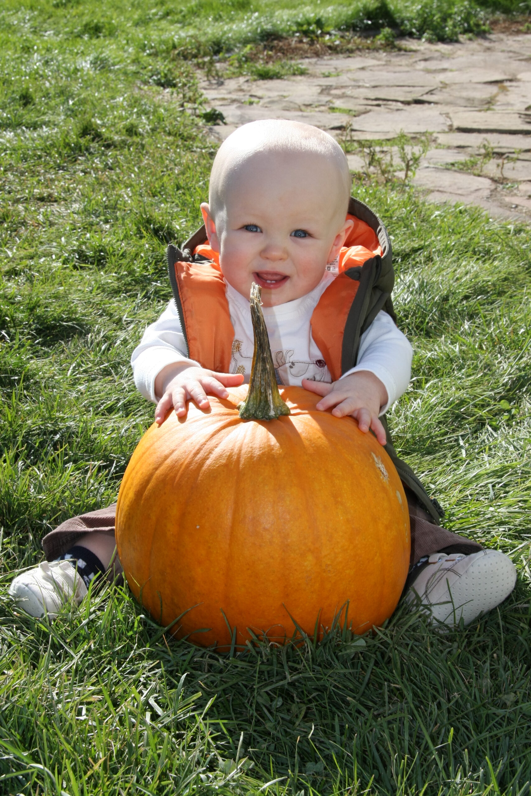 Alexander and the pumpkin - Downhome Magazine