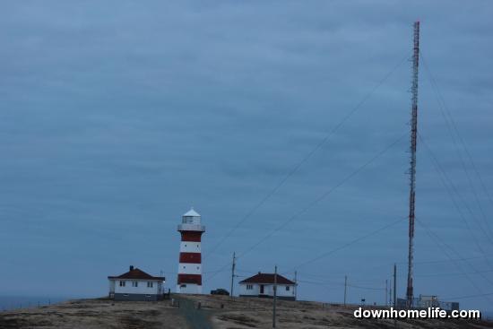 Cape Pine - Downhome Magazine