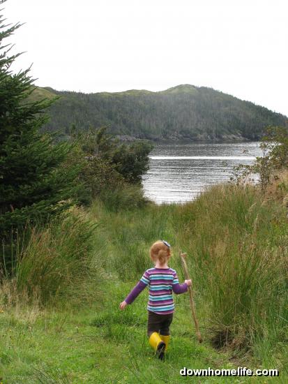 Ready to Walk - Downhome Magazine