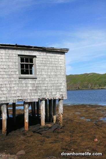 Sagona Island - Downhome Magazine