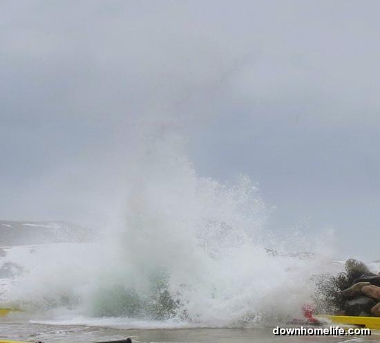 Wacky Waves - Downhome Magazine