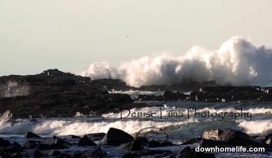 High Waves in Hodderville - Downhome Magazine