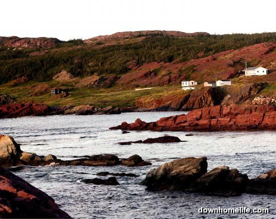 Scenery of Tickle Cove, Newfoundland - Downhome Magazine