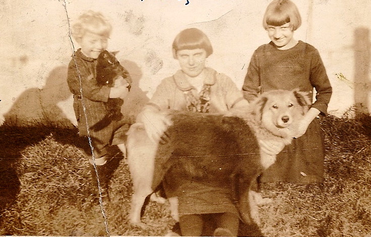 Out-Harbour Dog - Downhome Magazine