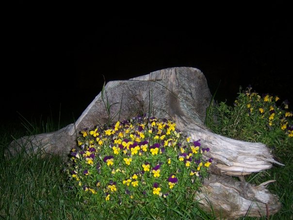 Forteau, Labrador - Downhome Magazine