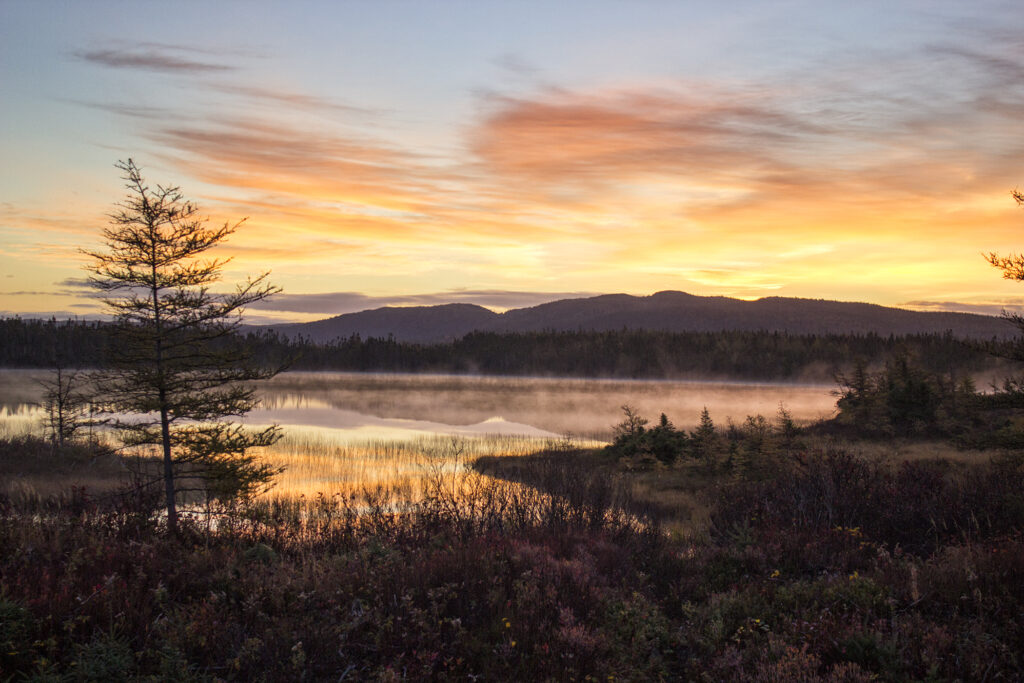 Newfoundland Sunrise - Downhome Magazine