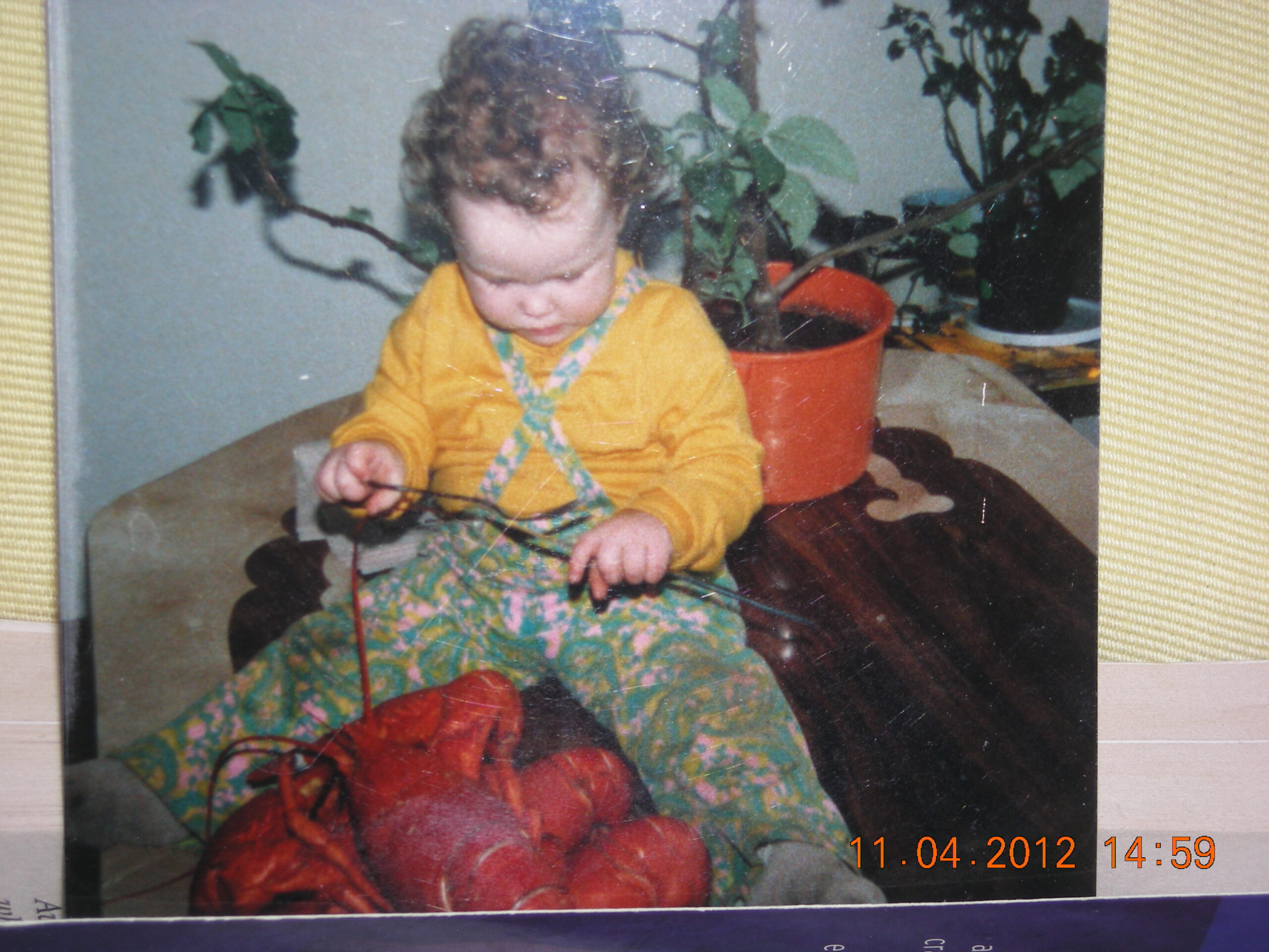 The Lobster and Little Andrea - Downhome Magazine