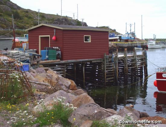 Petty Harbour - Downhome Magazine