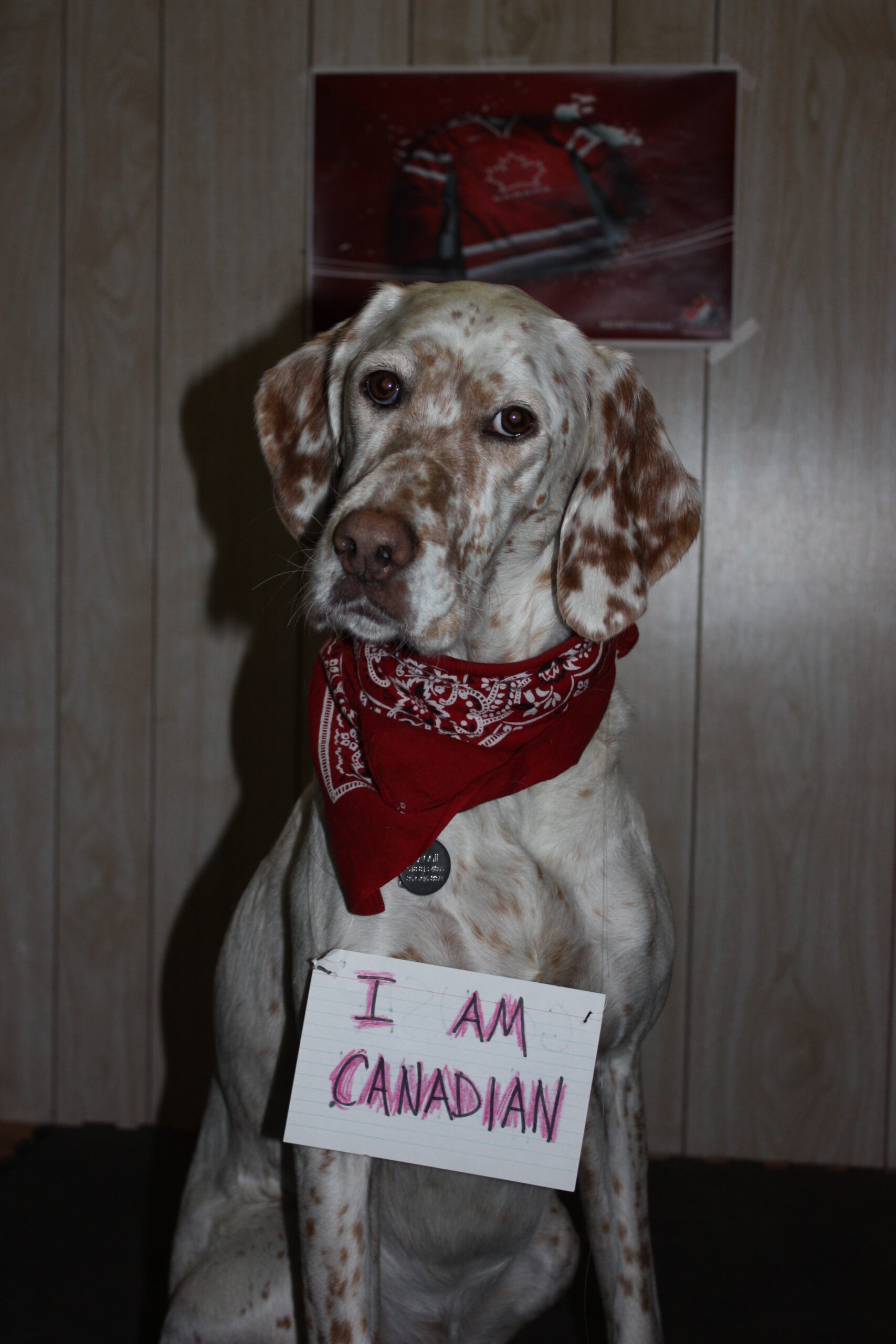 Go Team Canada - Downhome Magazine