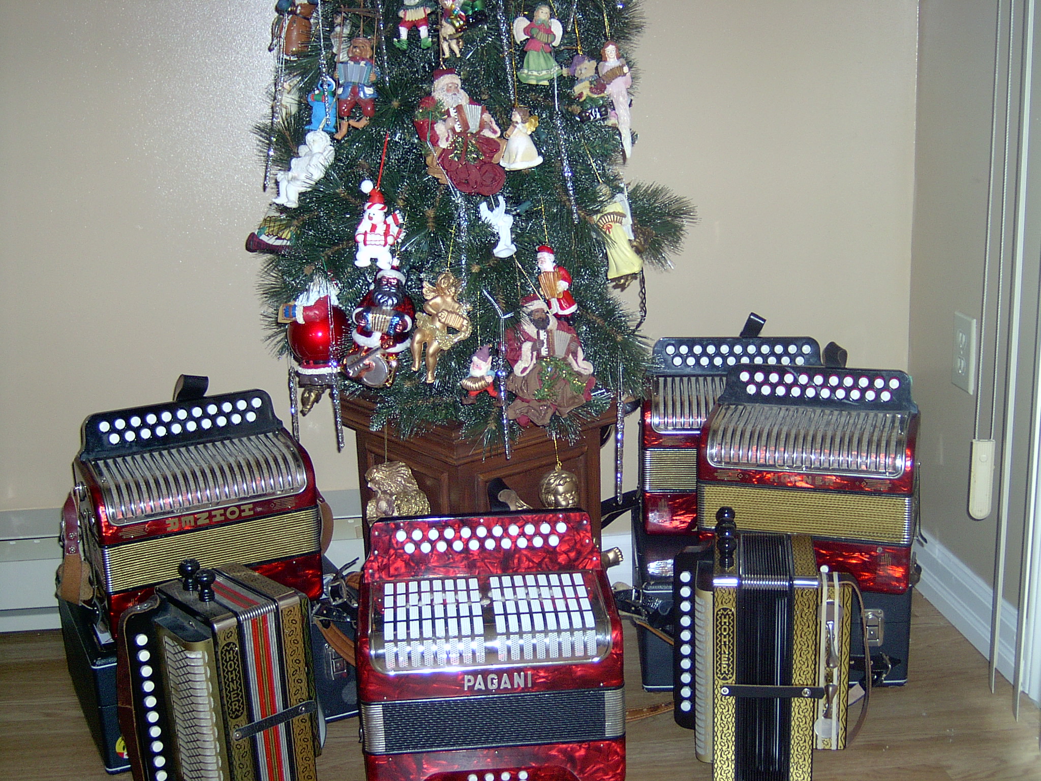 Accordion Tree - Downhome Magazine