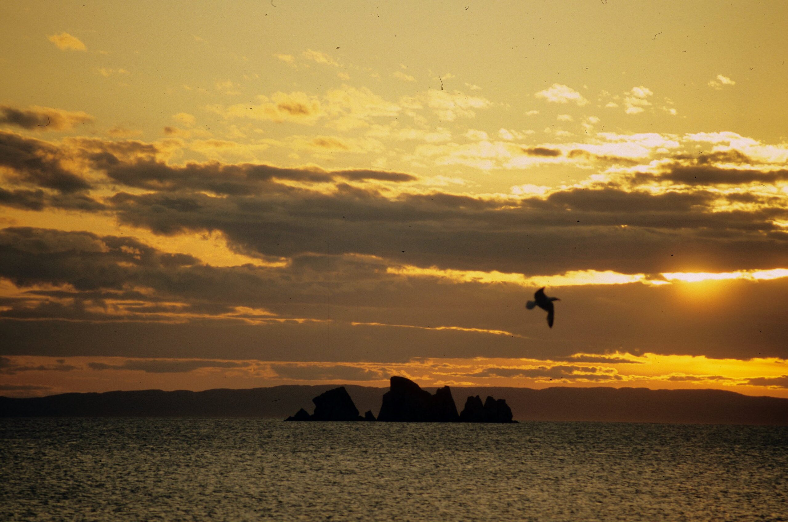 Shag Rocks at Sunset - Downhome Magazine