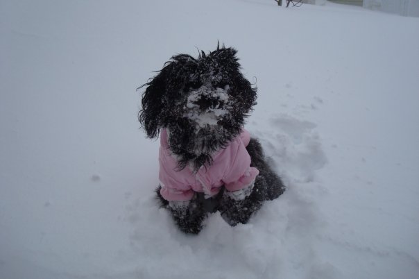 Yay! Snow! - Downhome Magazine